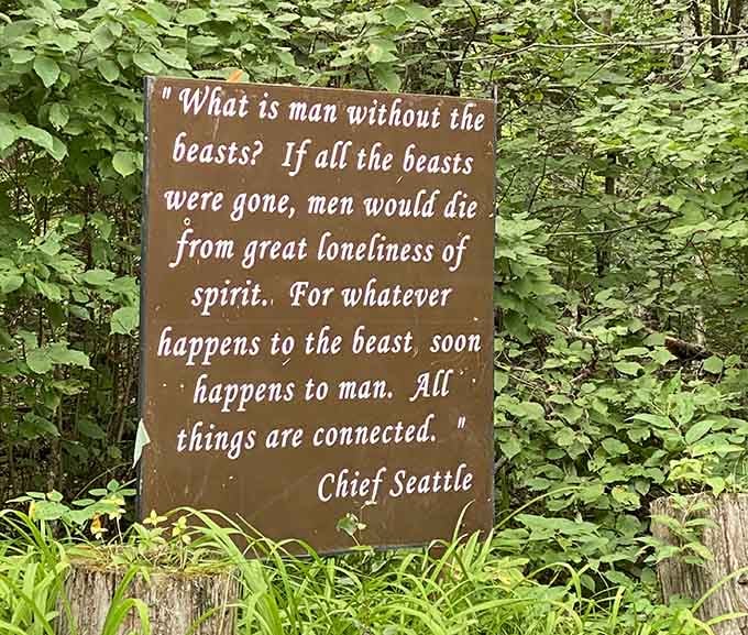 Chief Seattle's timeless words greet visitors, setting a thoughtful tone before the bears steal the whole show.