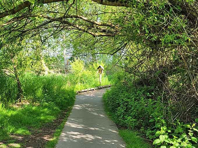 The trail curves ahead through a canopy so lush and green it looks like something out of a fairy tale.