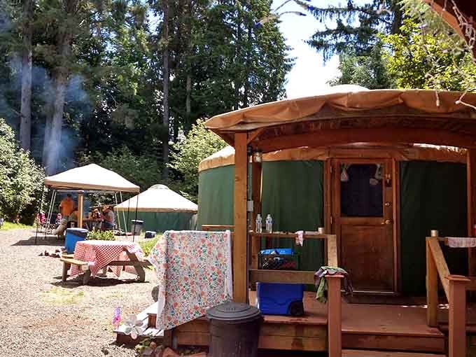 Smoke rising, neighbors laughing, yurts glowing. This is what a genuinely good weekend looks like.