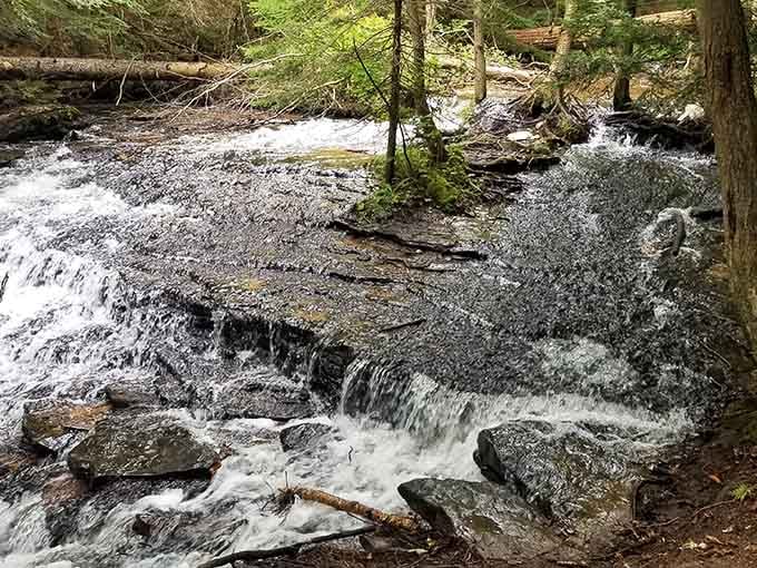 Water finds every crack and ledge on its way down, turning raw rock into pure theater.