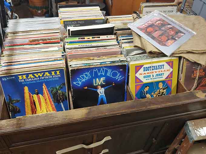 Barry Manilow Live is in there. Your next dinner party playlist just found its anchor.