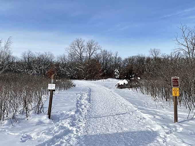 Fresh footprints in the snow lead into a hushed winter landscape, because Willow River doesn't take a season off.