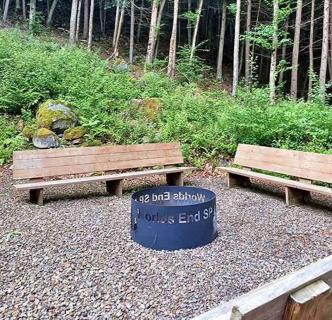 A fire pit with the park's name on it, wooden benches, and forest all around. Someone thought of everything.