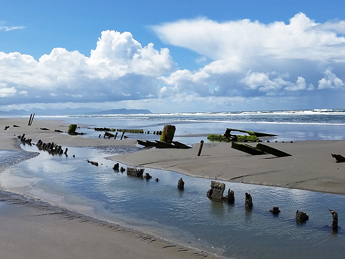 Low tide reveals the scattered bones of the Peter Iredale stretching quietly across the wide, reflective sand.