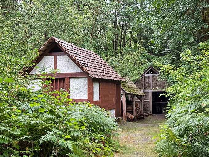Ferns and moss press close around these timber-framed medieval outbuildings at Camlann, making the 14th century feel surprisingly cozy and very, very green.