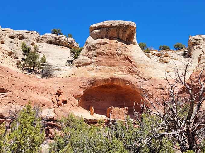 Ancient cliff dwellings nestle into red rock alcoves, silent witnesses to lives lived centuries before our modern world existed.