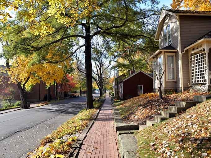 Autumn transforms this brick-paved sidewalk into a golden tunnel where every step crunches with the satisfying sound of fall.