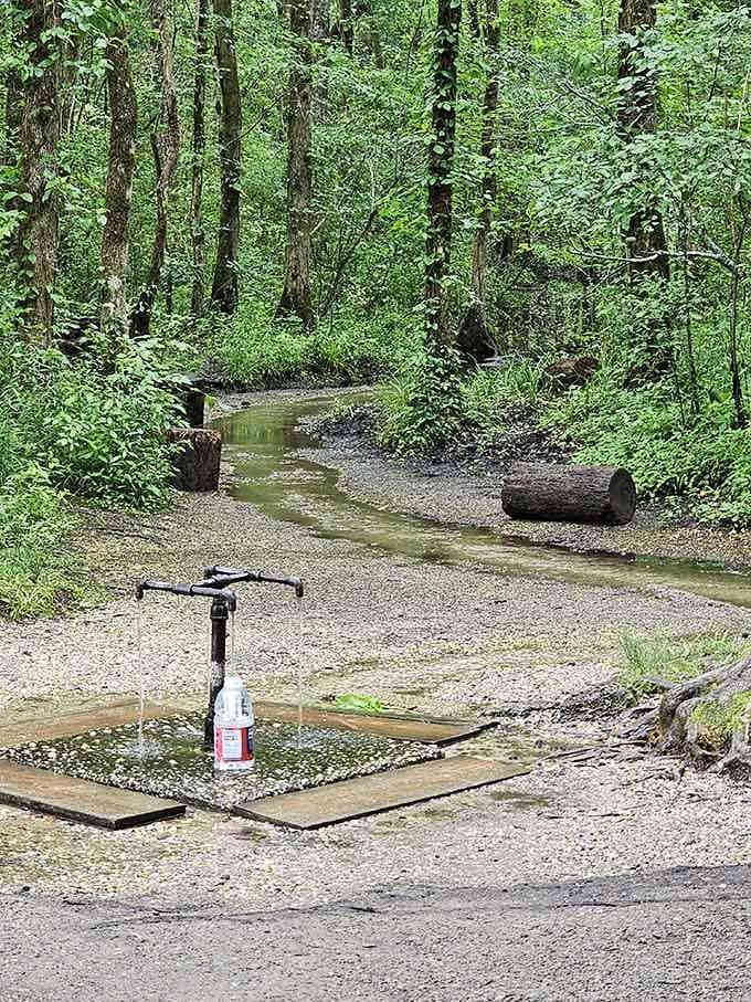 That quietly flowing artesian spring at God's Acre looks humble, but generations of devoted visitors know there's something special here.