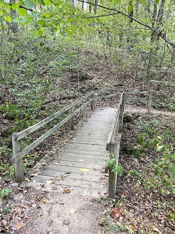 This weathered wooden footbridge at Mastodon Park is your quiet invitation to cross into prehistoric territory.
