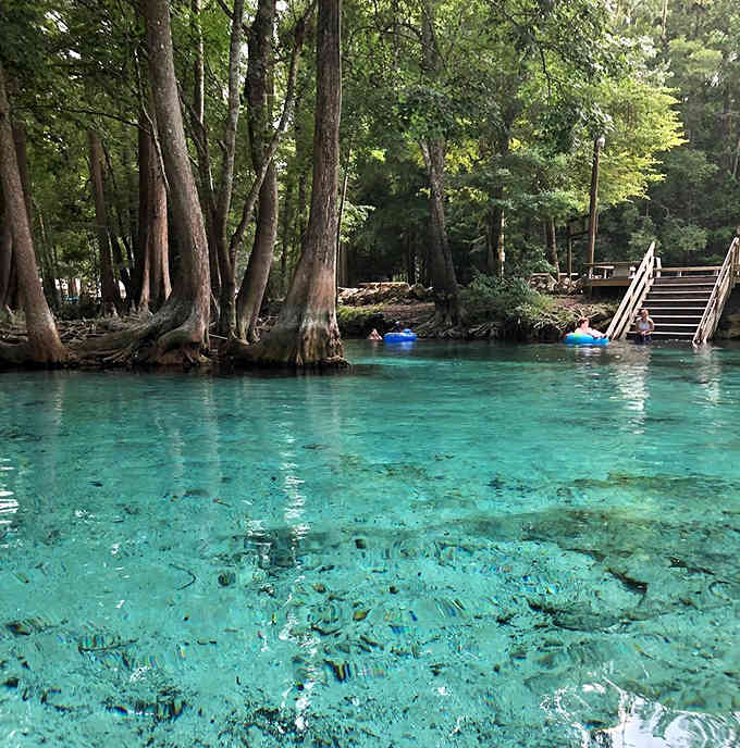 Crystal-clear turquoise water reveals every detail of the spring bottom, where cypress trees provide shade for swimmers and tubers alike.