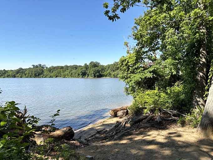 Leesylvania's Potomac shoreline glows under a brilliant blue sky, proof that suburban Virginia is hiding serious natural beauty.