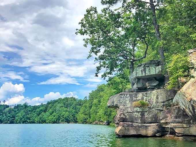 A lone tree grips the rocky bluff like it's holding on for dear life, and honestly, same.