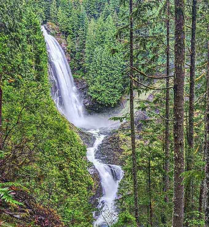 Peer through towering forest trees to see an incredible, multi-tiered waterfall plunging down a lush, vibrant green mountain valley.