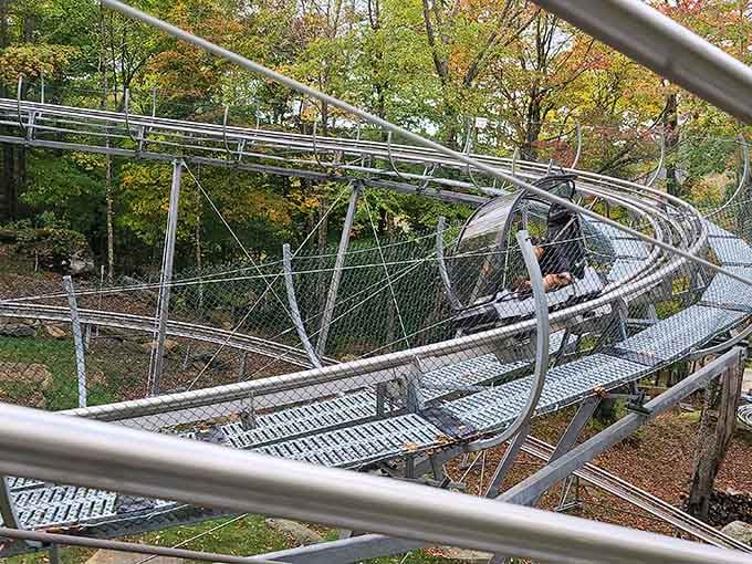 The alpine coaster track curves through autumn trees promising thrills with a side of spectacular mountain scenery.