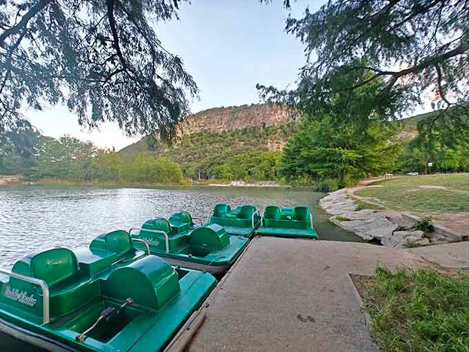 Green paddle boats line the shore beneath shady trees, ready to carry families across calm waters for lazy afternoon adventures.