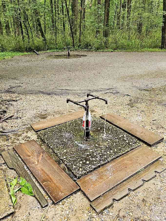 Water bubbling freely from the ground at God's Acre Healing Springs is the kind of simple wonder that stops you cold.