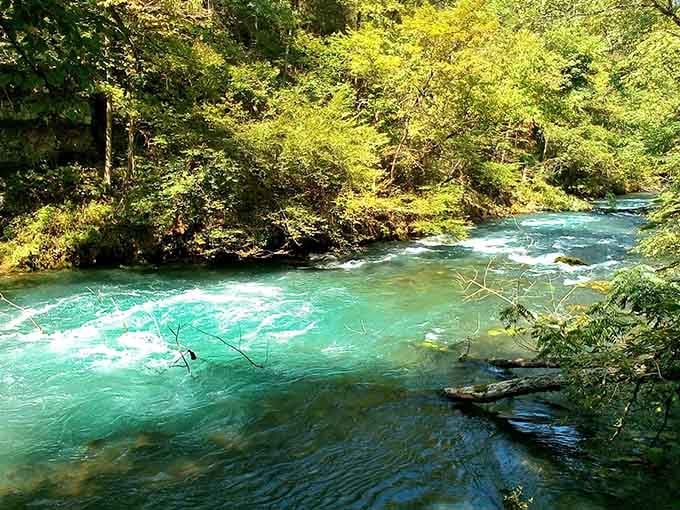 That impossible turquoise color isn't a filter, Greer Spring really does flow like liquid gemstone through the Ozark hills.