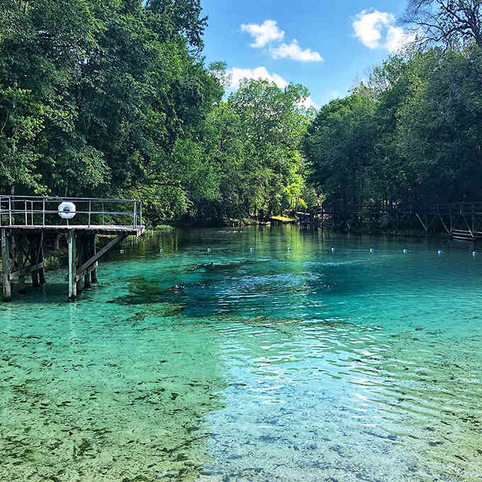 That swimming platform beckons from emerald-green spring water so clear you can count fish from the dock above.