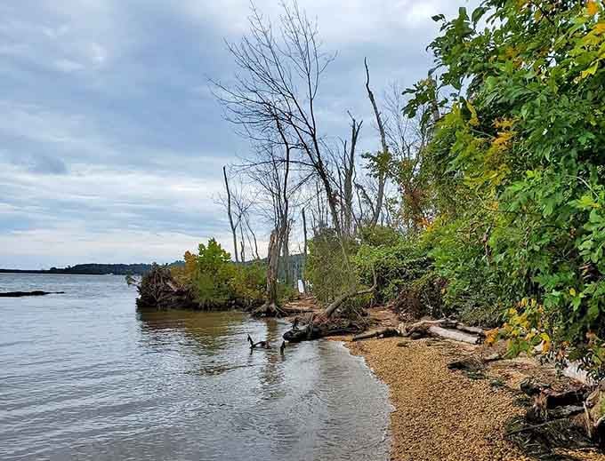 Bare autumn trees lean toward the Potomac at Leesylvania, giving the shoreline a quietly dramatic, end-of-season character.