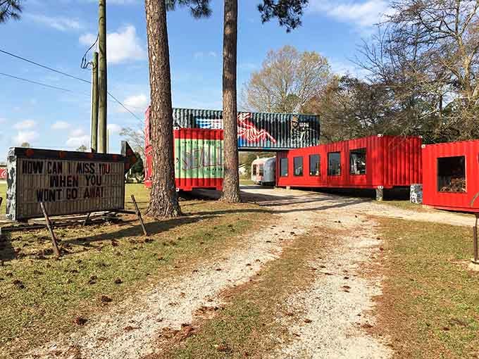 Bright shipping containers transformed into gallery spaces prove that creativity thrives in the most unexpected places imaginable.