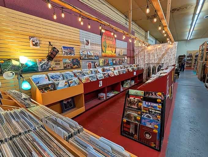 Vintage vinyl records line the bins like soldiers at attention, ready to spin nostalgic tunes on your turntable once more.