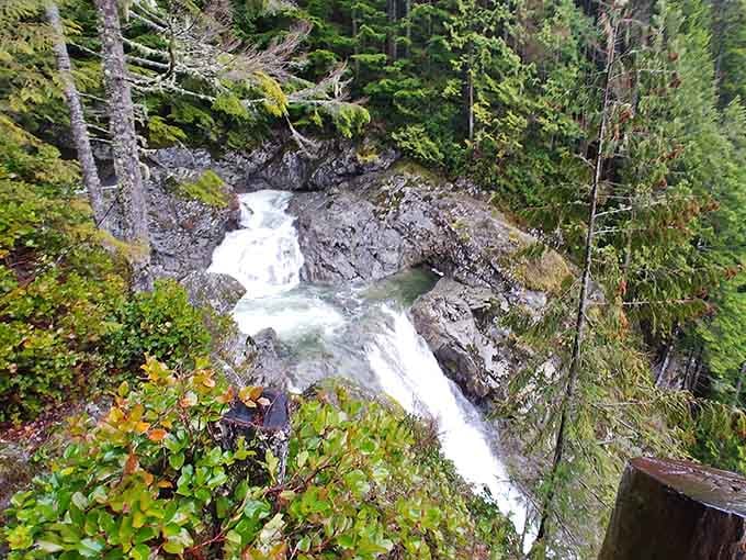 The falls twist and turn through rocky channels, carving a serpentine path through the forested canyon walls.