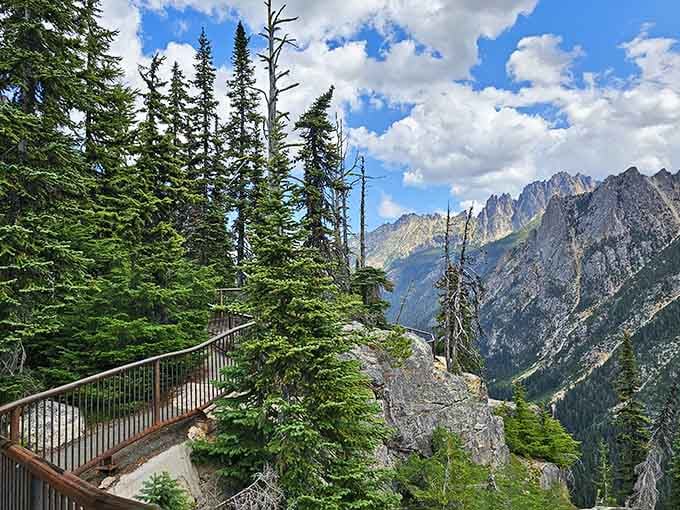 The Washington Pass observation deck curves out toward a valley of rugged peaks, delivering a panorama that stops conversation completely.