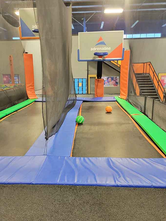 Trampoline basketball turns everyone into dunking champions, finally fulfilling those childhood dreams of playing like Michael Jordan.