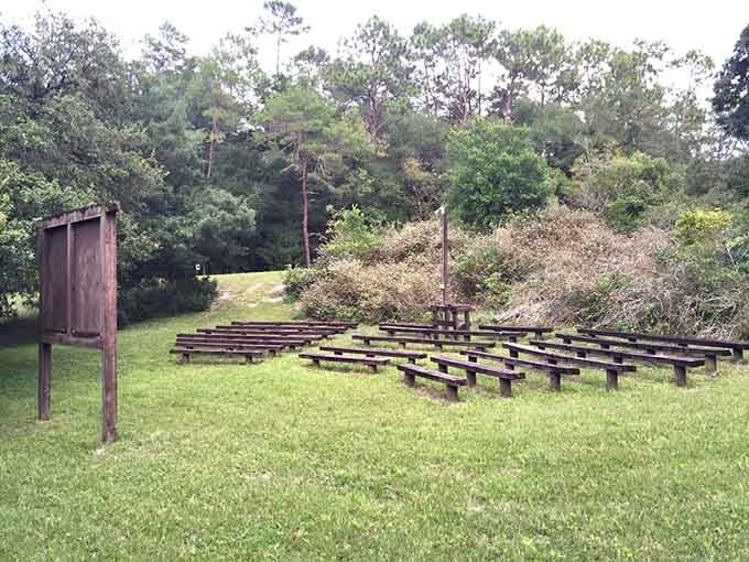 An outdoor amphitheater tucked into the forest, because nature deserves a proper stage.