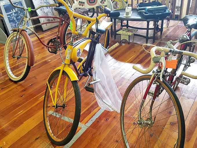 Vintage bicycles lined up on warm hardwood floors, looking like they're waiting for a Saturday afternoon that never quite ended.