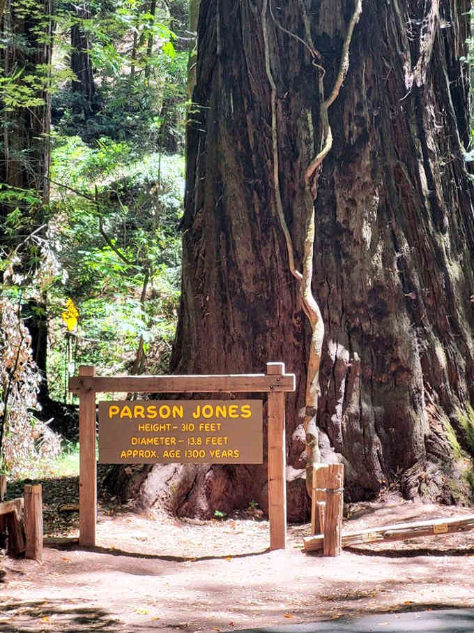 Parson Jones has been standing here for 1,300 years and still looks better than most of us on a Monday morning.