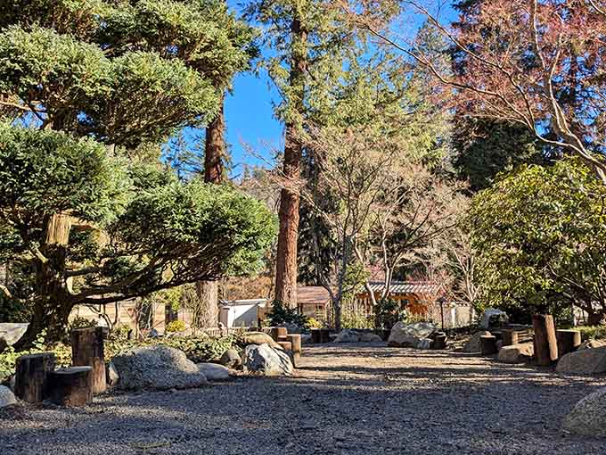 Lithia Park's Japanese garden offers the rare gift of genuine stillness, right in the middle of a busy town.