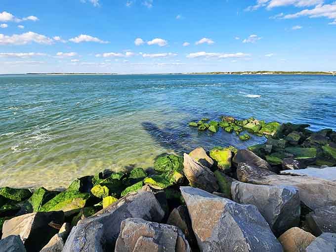 Moss-covered rocks meet impossibly clear green water, a color combination so beautiful it looks like someone turned up the saturation on real life.