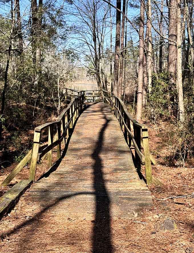 This wooden footbridge leads straight toward the lake, and honestly, it looks like the opening scene of every great adventure story ever told.