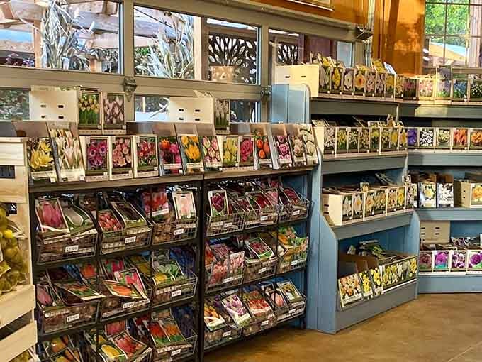 A wall of flower bulbs and seeds that could turn even the most reluctant gardener into a true believer.