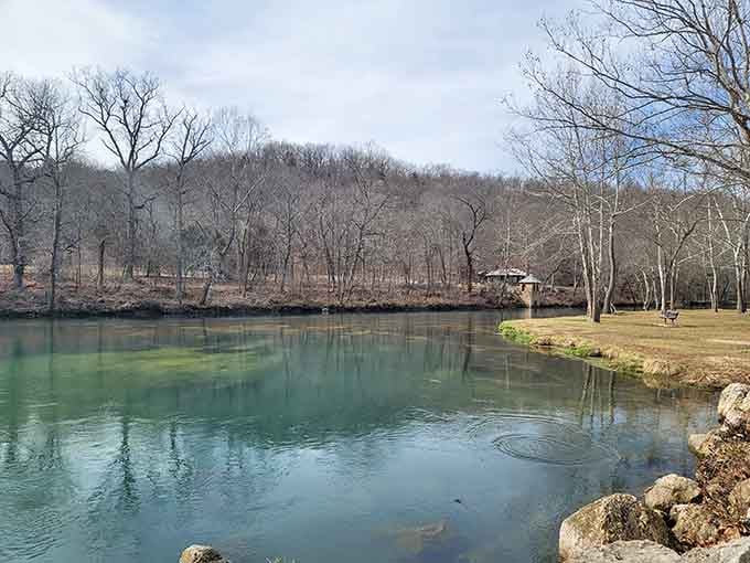 Even stripped bare in winter, Bennett Spring's turquoise water glows like it's keeping a secret the cold can't touch.