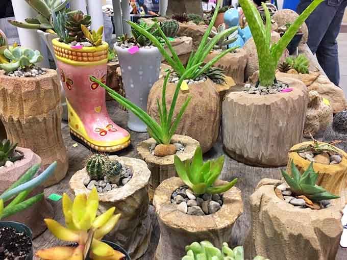 Succulents in rain boots and carved stone pots, because your windowsill deserves something this cheerful.