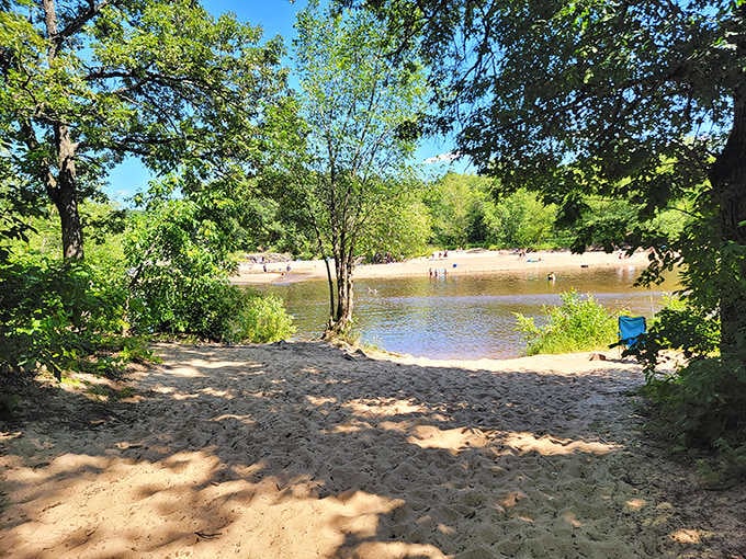 Where the forest meets the water, and your stress meets its match in pure tranquility.
