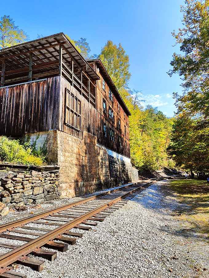 The old wooden building at Barthell stands tall against autumn gold, a reminder that beautiful things outlast their original purpose.