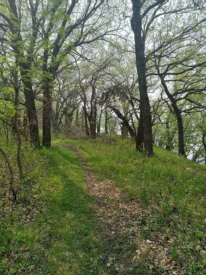 A wooded path that curves just enough to make you genuinely curious about what's waiting around the bend.