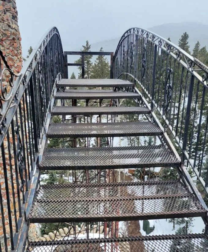 Metal bridges connect towers high above the forest floor, offering thrills for the adventurous and anxiety for everyone else.