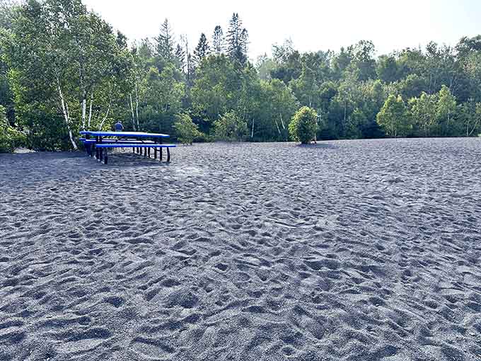 Blue picnic tables on black sand, surrounded by birch trees. Minnesota really does things its own way.