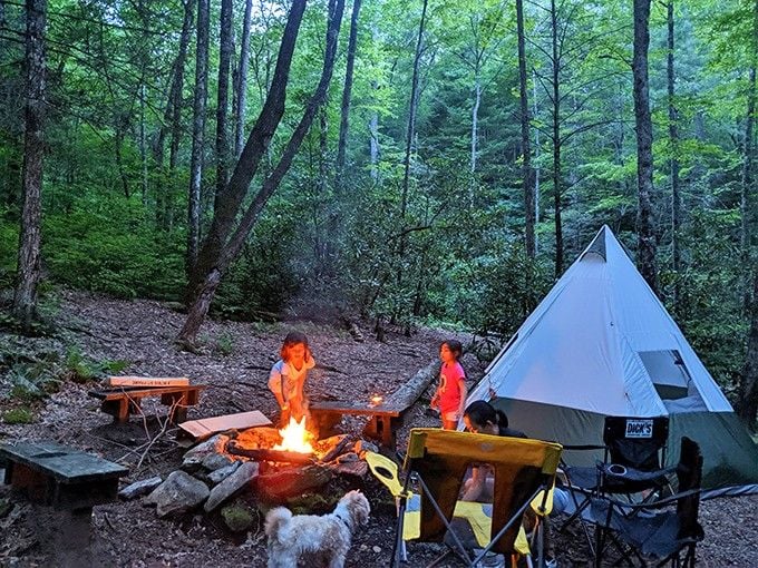 Campfire, tall trees, and kids who've forgotten their screens exist. That's a parenting win right there.
