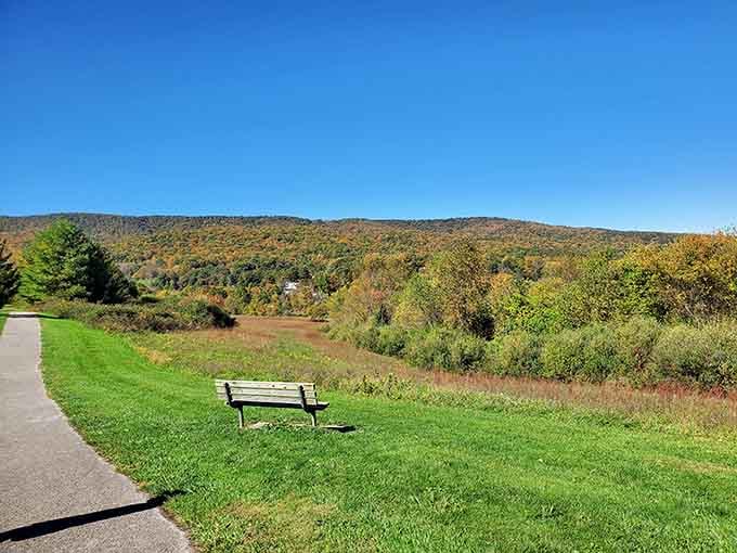 Heritage Community Park in fall is basically a painting that forgot to stay on the wall.