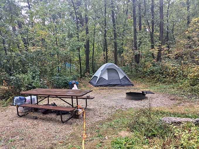 A tent, a picnic table, a fire ring, and trees all around. This is the original five-star experience.
