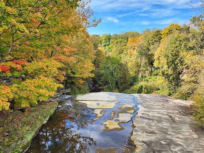 Fall foliage frames the flat rock ledge above the falls, turning the whole scene into a living painting.