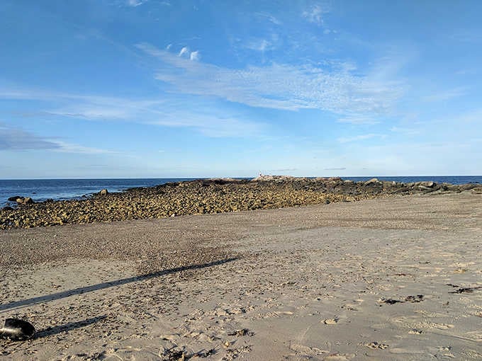 Wide open sand, gentle waves, and zero crowds. Brant Rock Beach delivers the full package without the fuss.