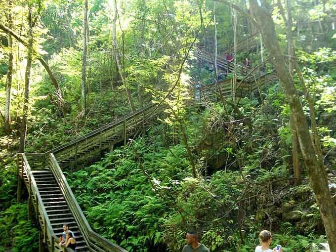 These stairs through the forest feel like they're leading you into a secret world nobody told you about.