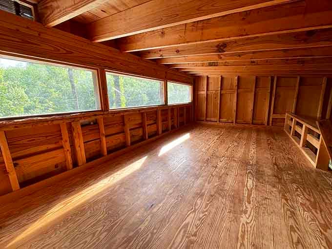 Sunlight streams through windows in this all-wood interior, creating the coziest elevated cabin you've ever seen.