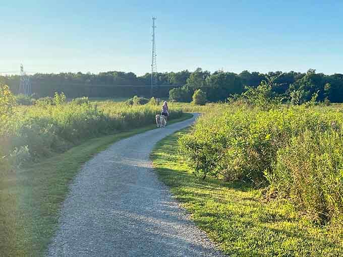 Frohring Meadows trails at golden hour, where the path curves just enough to make you curious what's next.